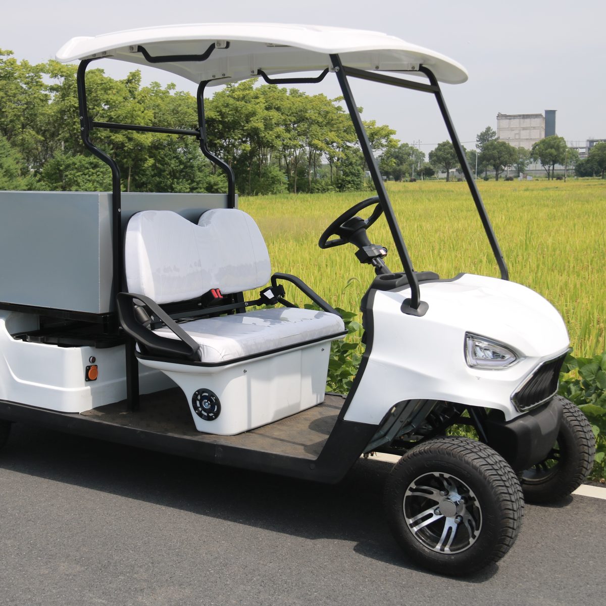 Suncart Golf Cart – MINI GOLF CART,UTV,LSV,MXV,TXT,TXV,ATV